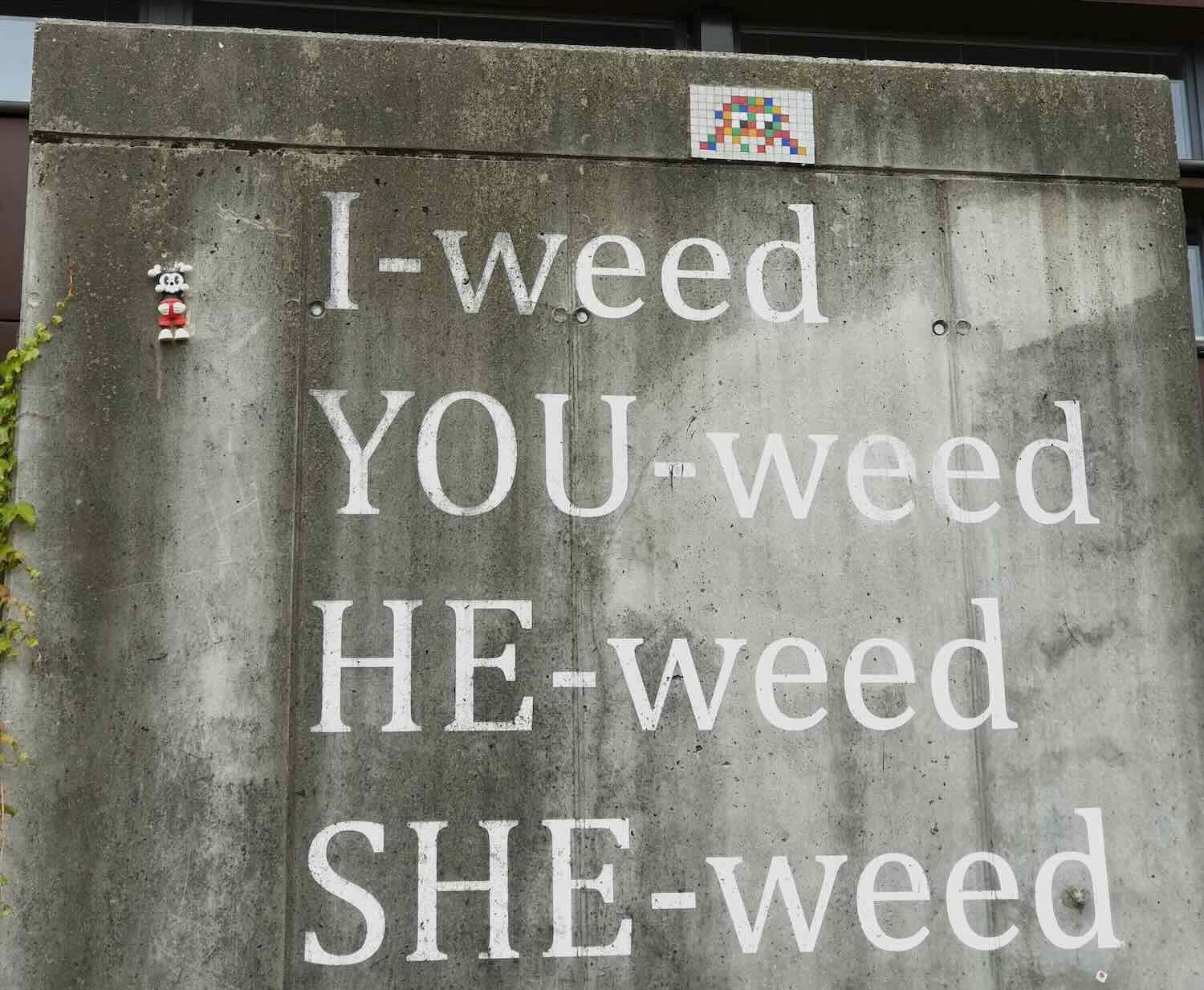 Cannabis Marketing Compliance 101: What You Can Legally Say in 2025 ...